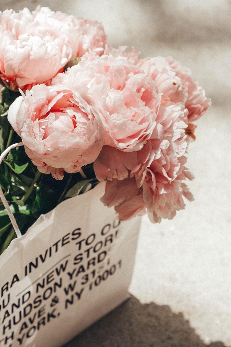 How to Grow Peonies in Texas - The Garden Pixie