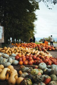 How to Grow Cushaw Squash: A Beginner's Guide - The Garden Pixie